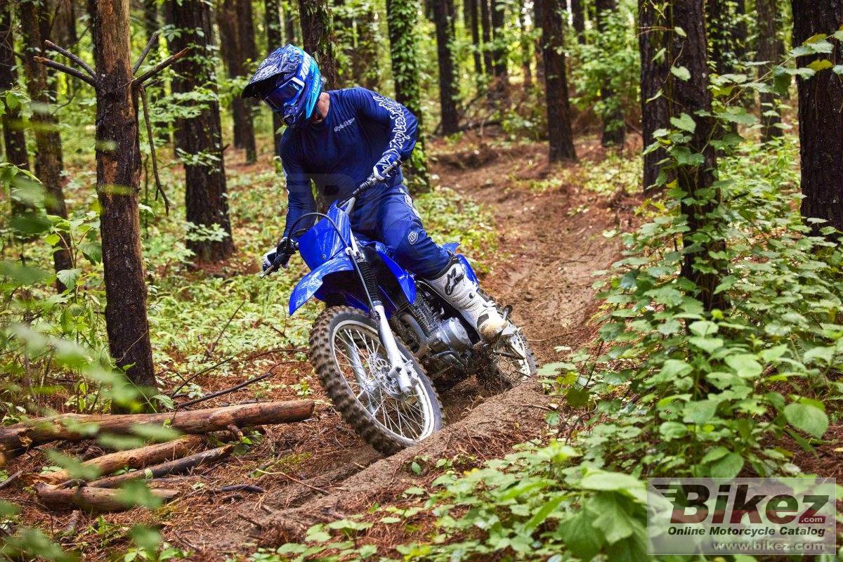 Yamaha TT-R230 poster